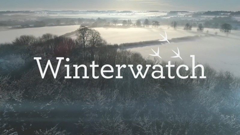 Wax-sealed Letter on BBC Winterwatch, 16th January 2024 – The ...